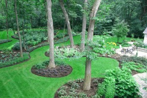 Backyard Staging - Home Staging